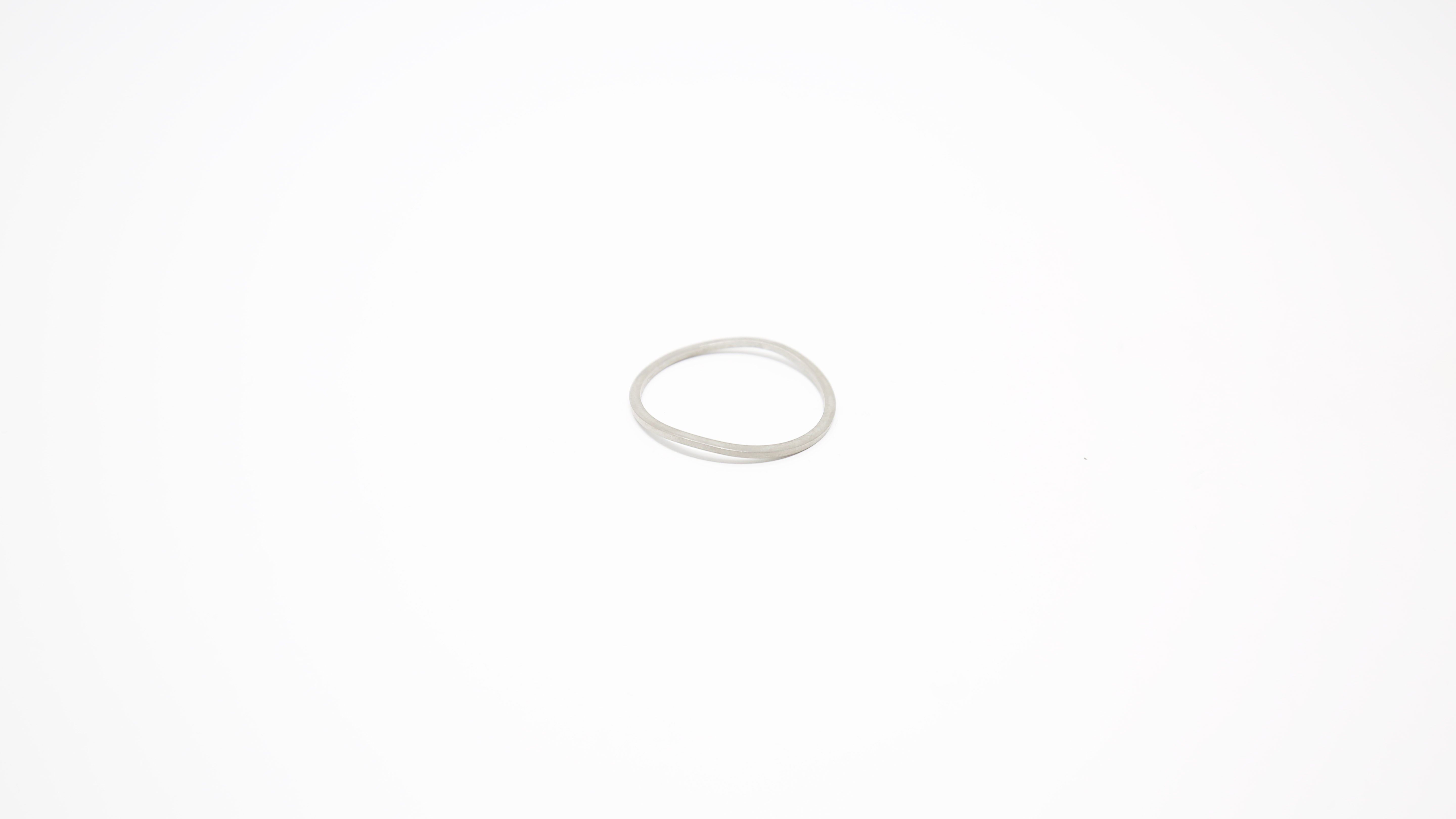 70099 FF NP3 - FFT Benelli Spring Washer Coated in NP3 – Freedom ...